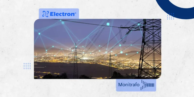 The IoT Revolution in the Electricity Sector: Connectivity and Intelligence