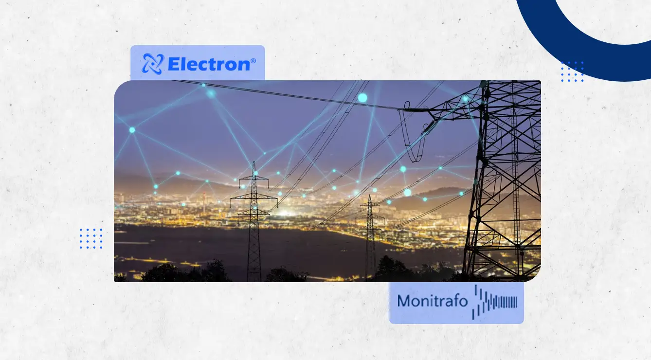 The IoT Revolution in the Electricity Sector: Connectivity and Intelligence